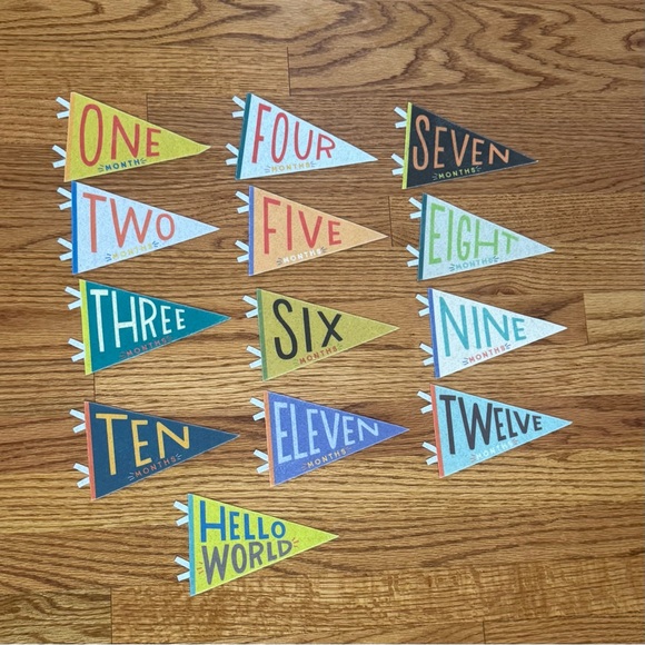 lucy darling | Party Supplies | Lucy Darling Monthly Milestone Pennants ...